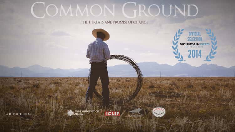 Common Ground Movie