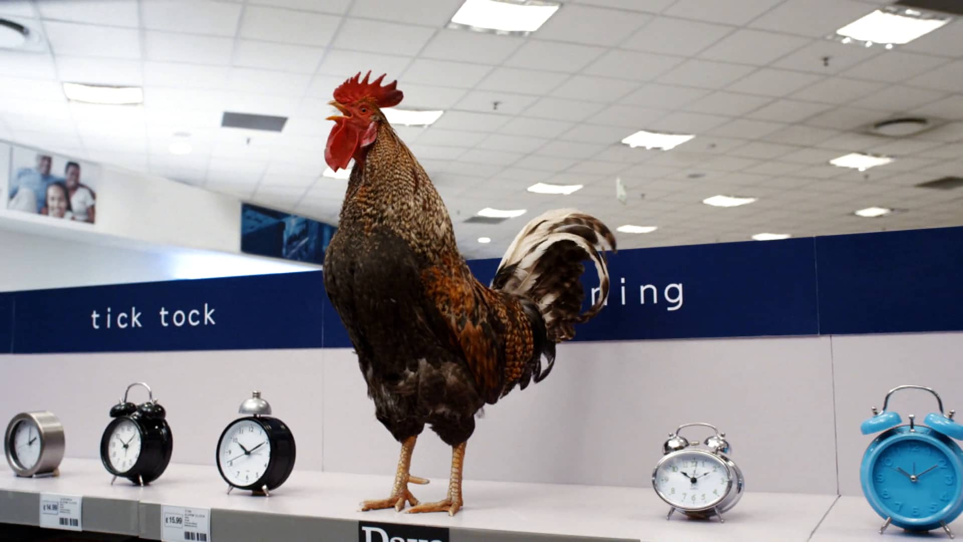 Dave Idents on Vimeo