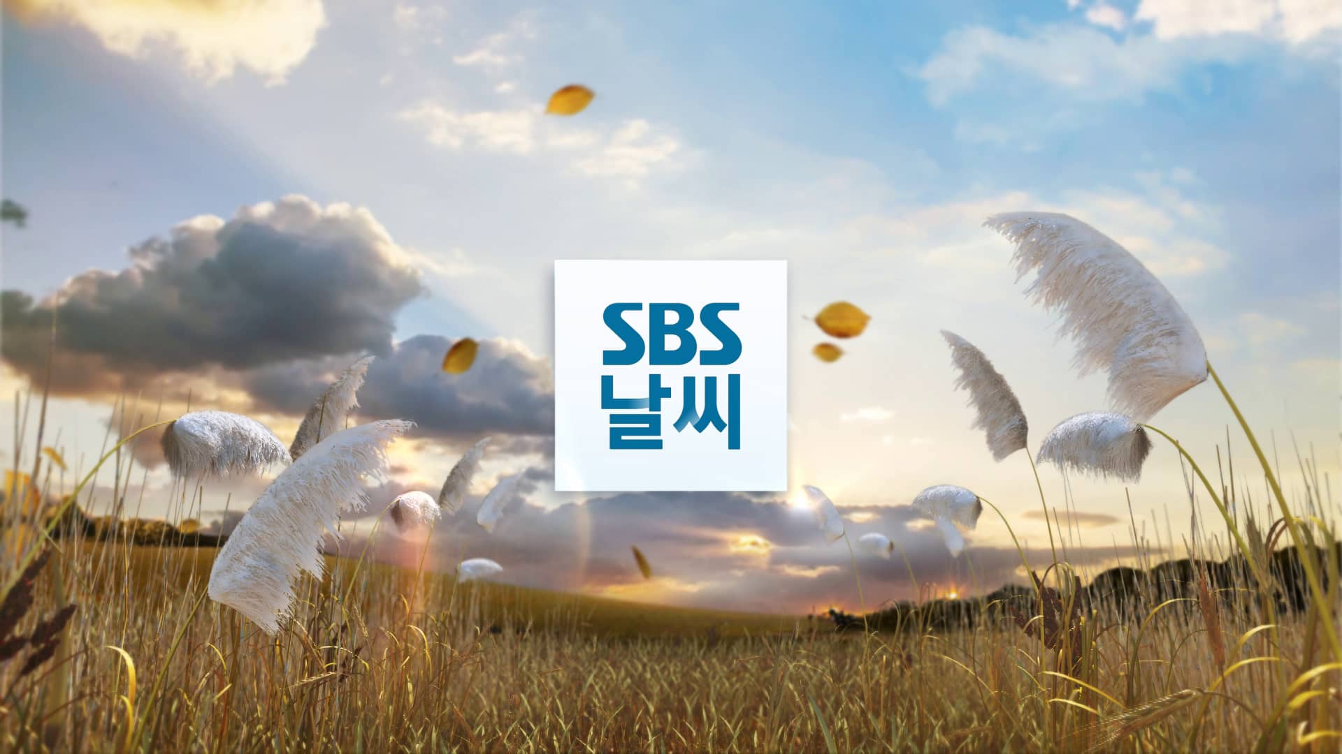SBS weather_title on Vimeo