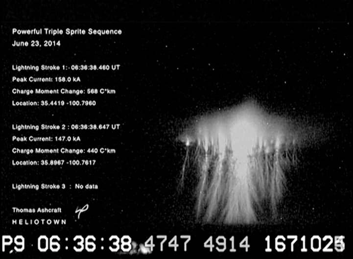 Jellyfish Sprite specimen June 23, 2014 on Vimeo