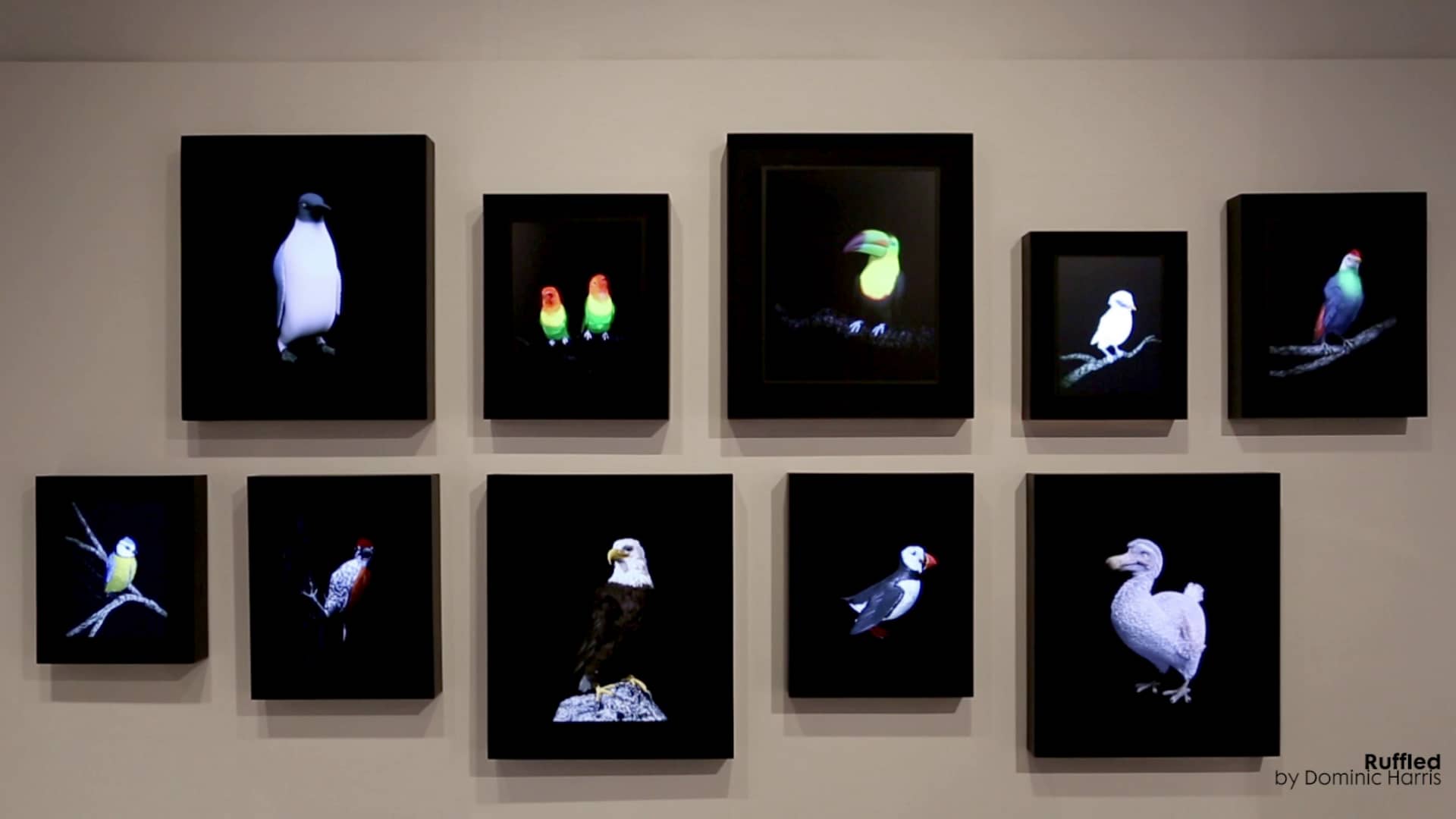 "Ruffled" by Dominic Harris on Vimeo