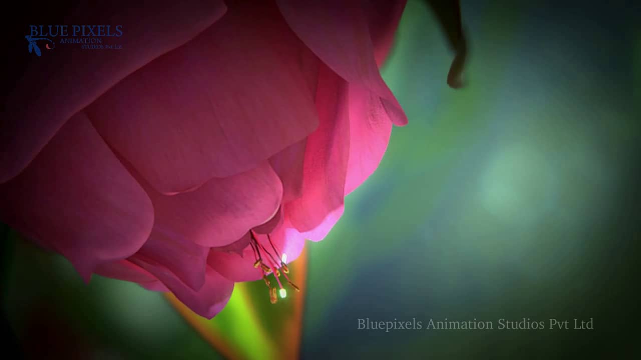 AUM Animation Studio ShowReel on Vimeo