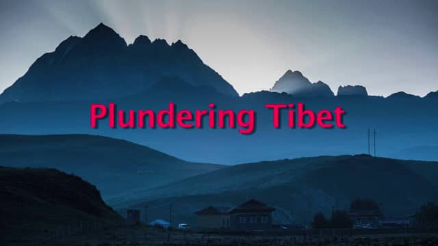 Plundering Tibet TRAILER on Vimeo