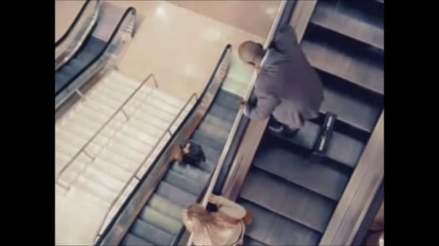 Stuck on an Escalator on Vimeo