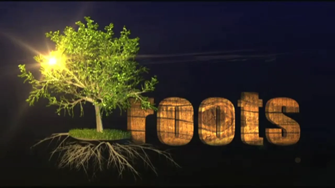 Roots Part 6 on Vimeo