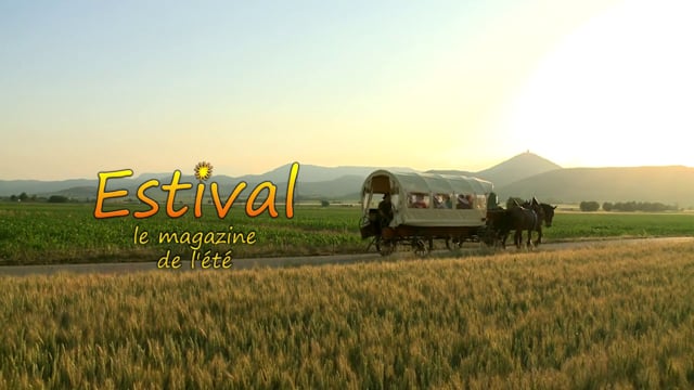 Estival numéro 1- été 2014 | TLVA - 13 juillet 2014