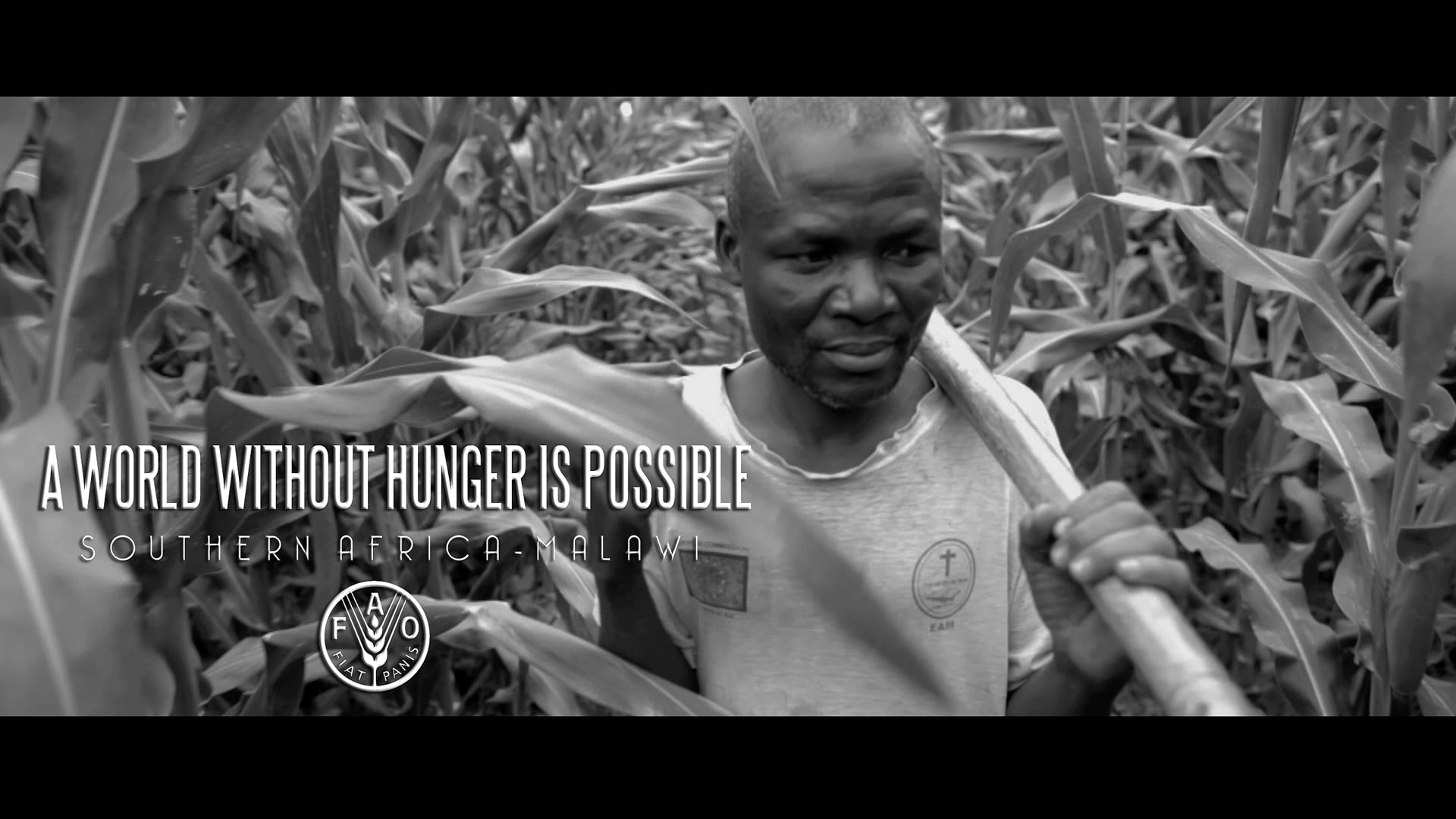 A world without hunger is possible on Vimeo