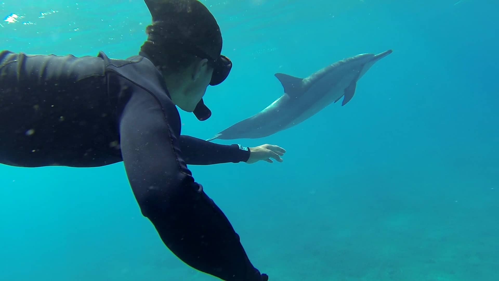GoPro: Swimming With Dolphins on Vimeo