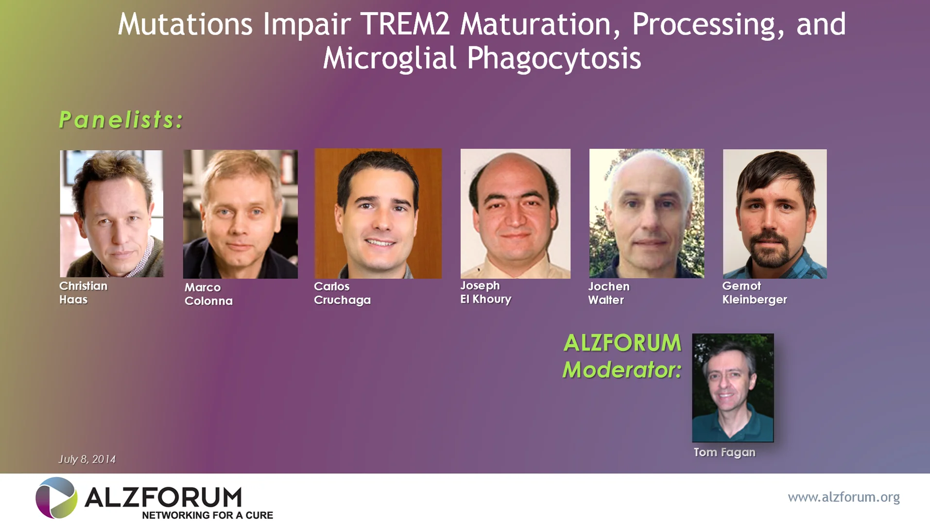 Mutations Impair TREM2 Maturation, Processing, and Microglial ...