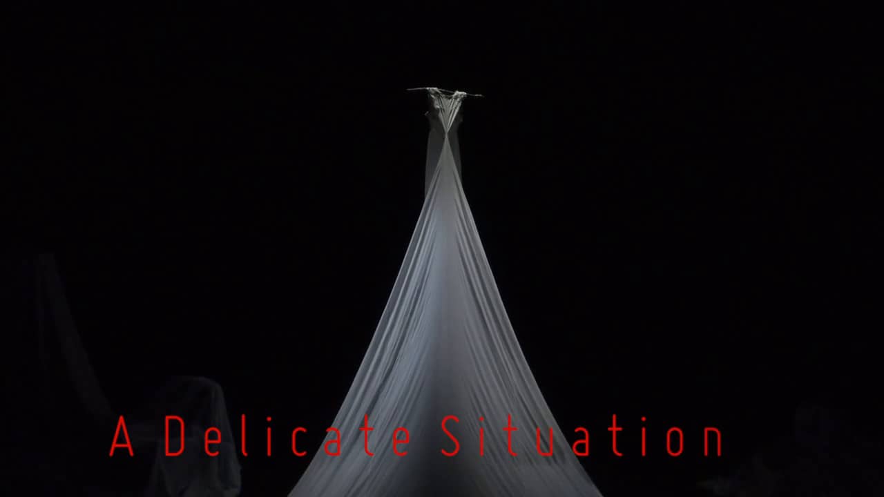 A Delicate Situation - Promotional Clip on Vimeo