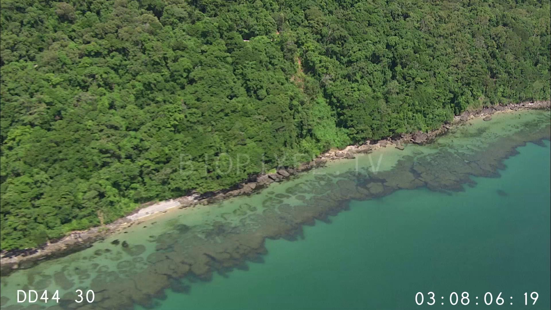 Freshwater Streams and Rivers - Aerial - Fringing reef meets Rainforest ...