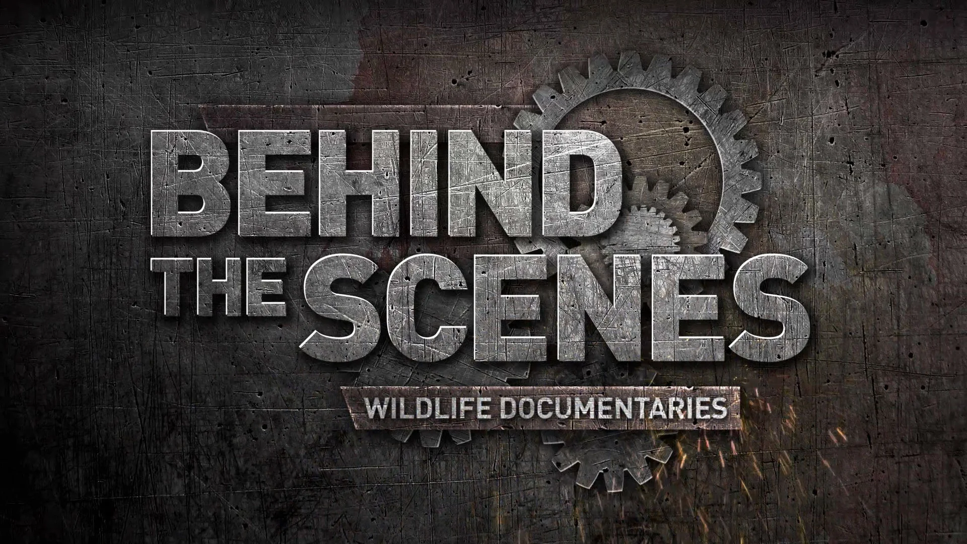 Wildlife Documentaries: Behind The Scenes (Trailer) on Vimeo