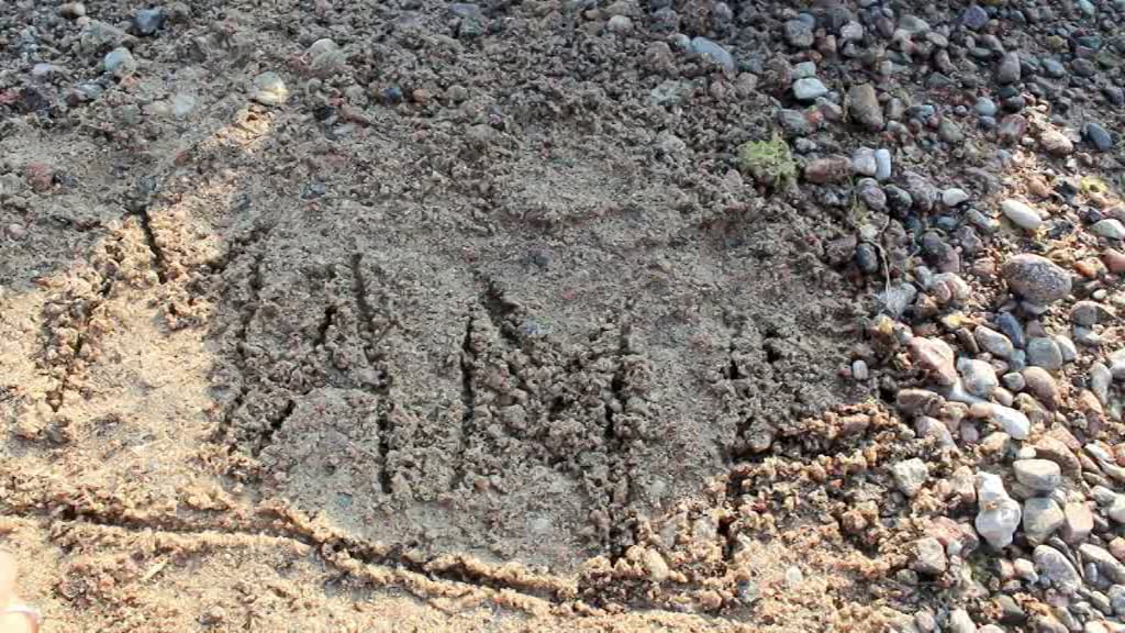 lklkkl;;k;k on Vimeo