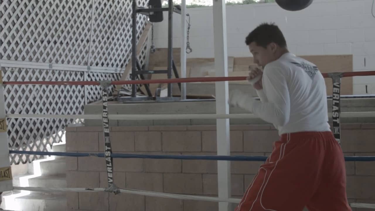 Boxer Homer Palomino Social media spot Black Magic Cinema Camera 2.5k ...