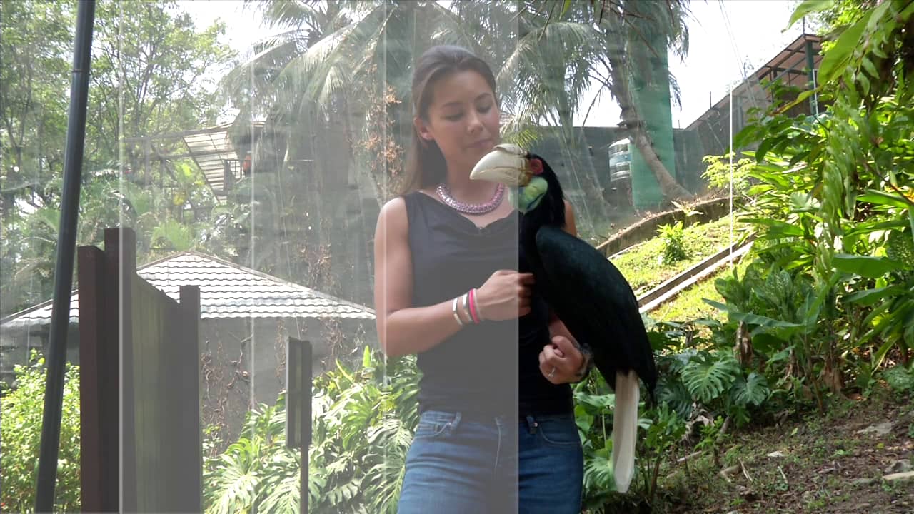 Kelly Latimer 2014 on Vimeo