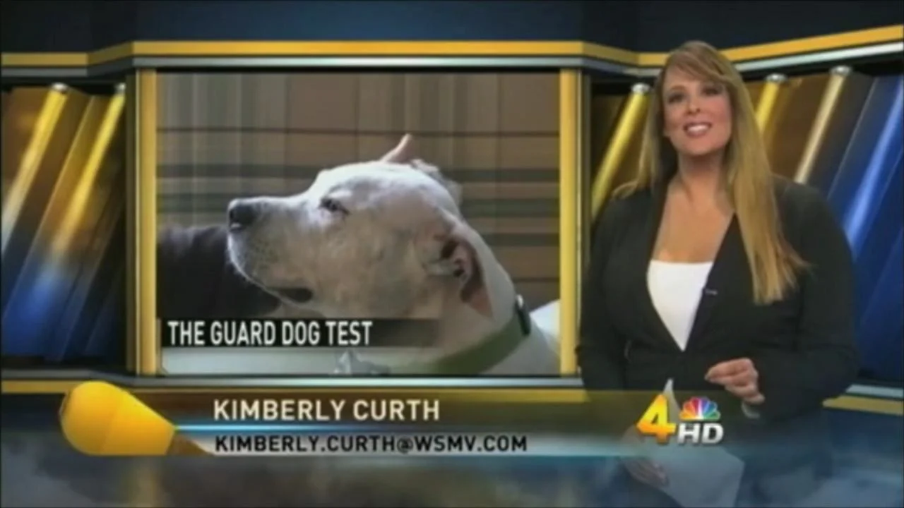 Kimberly Curth - Kimberly Curth - Montage on Vimeo