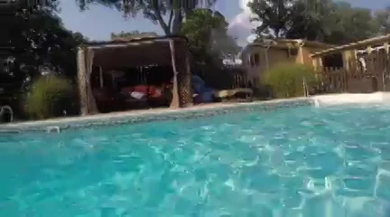 Pool on Vimeo