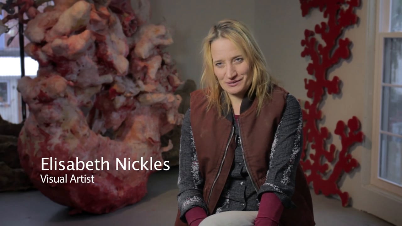 The Reinvestment Fund (TRF) Profile - Elisabeth Nickles on Vimeo