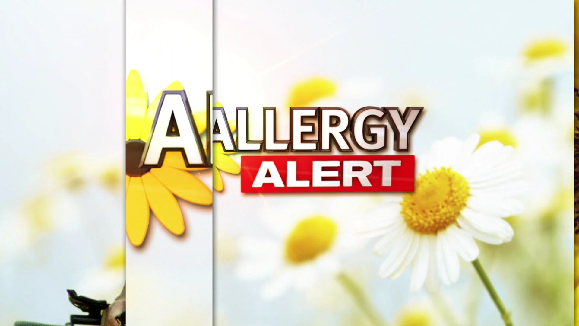 Open Window Productions - Ken Allergy Alert on Vimeo