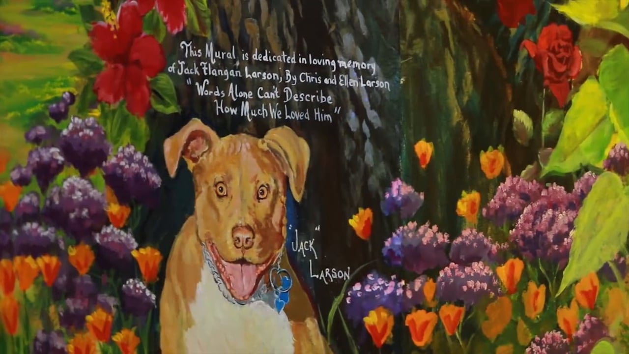 FACE Foundation's Tree of Life Fundraiser Event on Vimeo