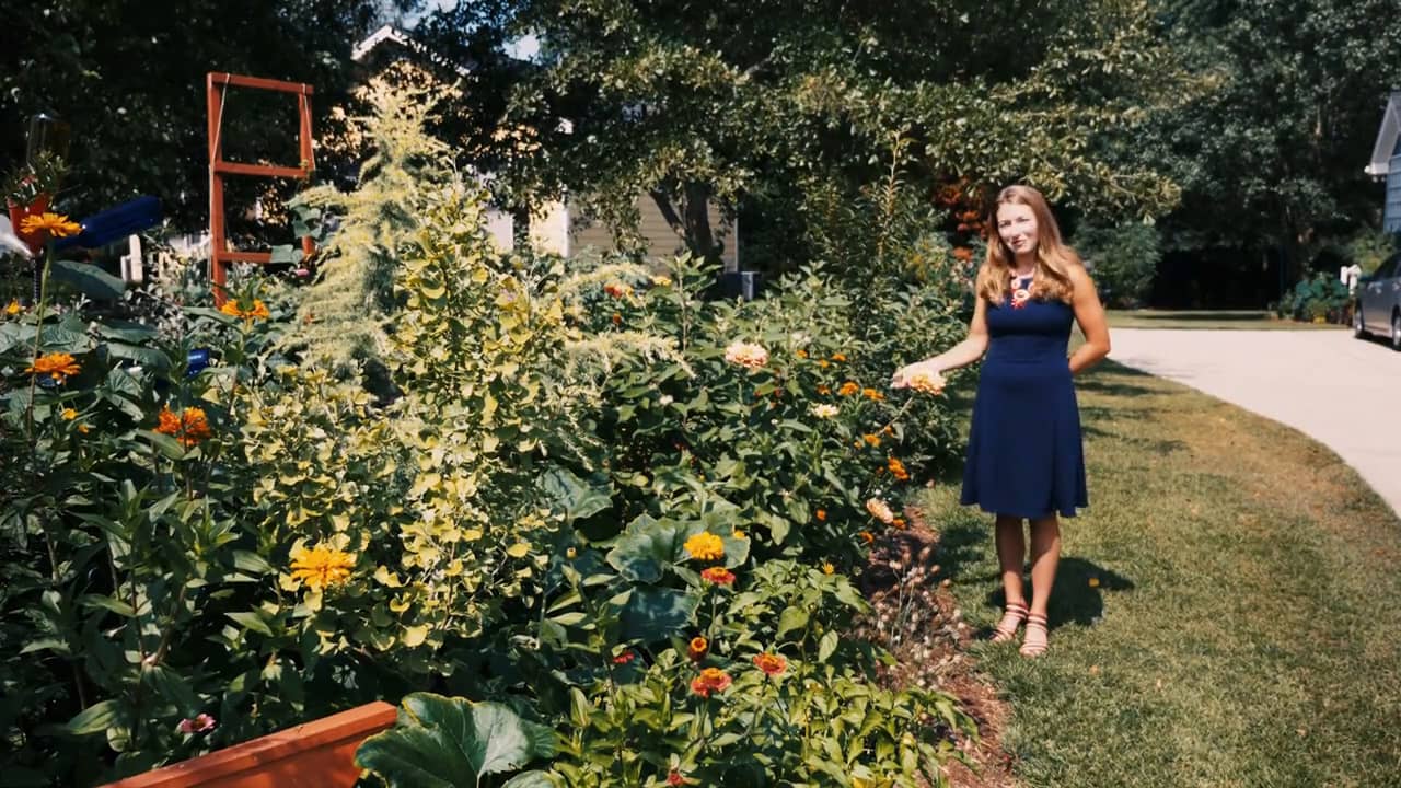 Brie Arthur: Transforming the Suburbran Landscape on Vimeo