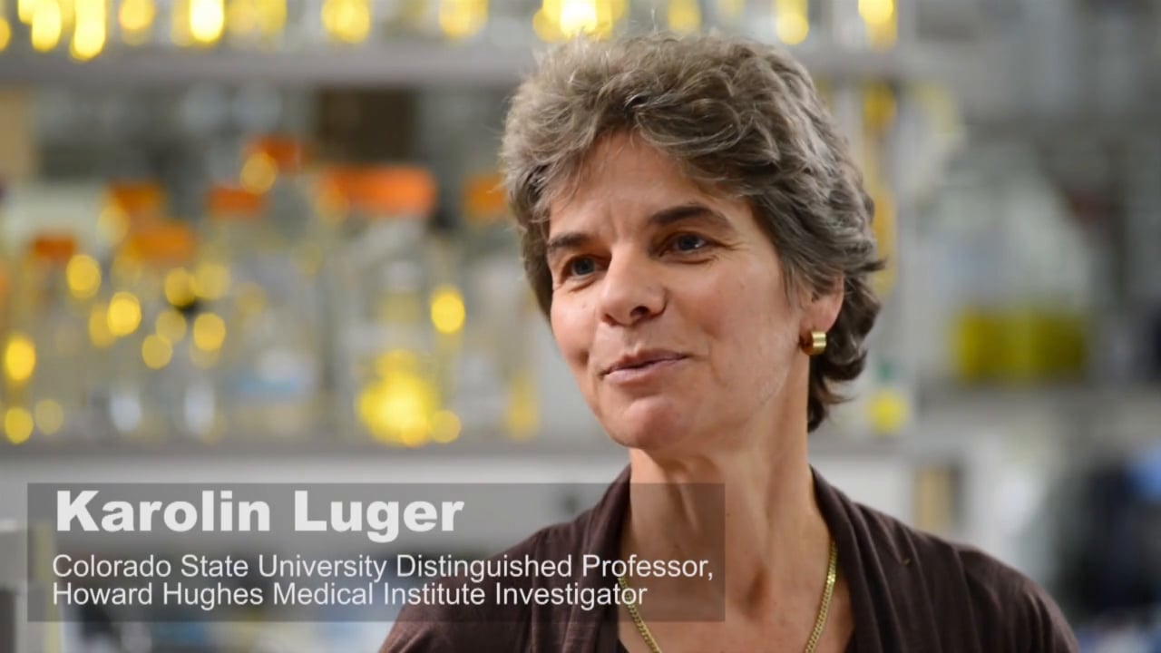 Karolin Luger RMPBS draft 30 on Vimeo