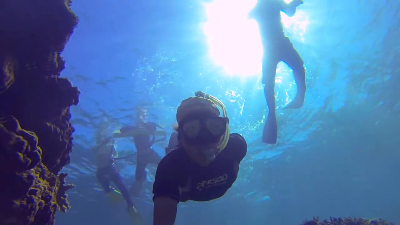 Zamami Island snorkel Gopro on Vimeo