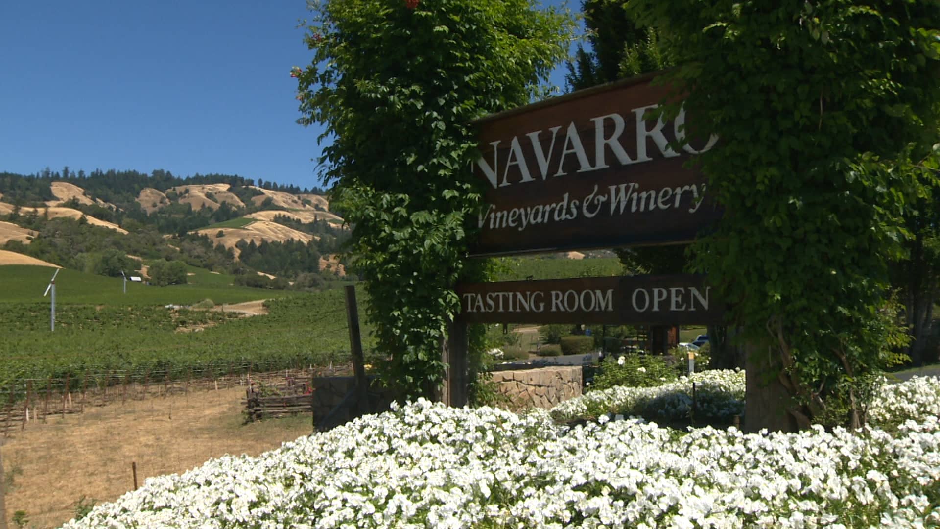 Navarro Vineyards - Best Winery in California 2014 on Vimeo