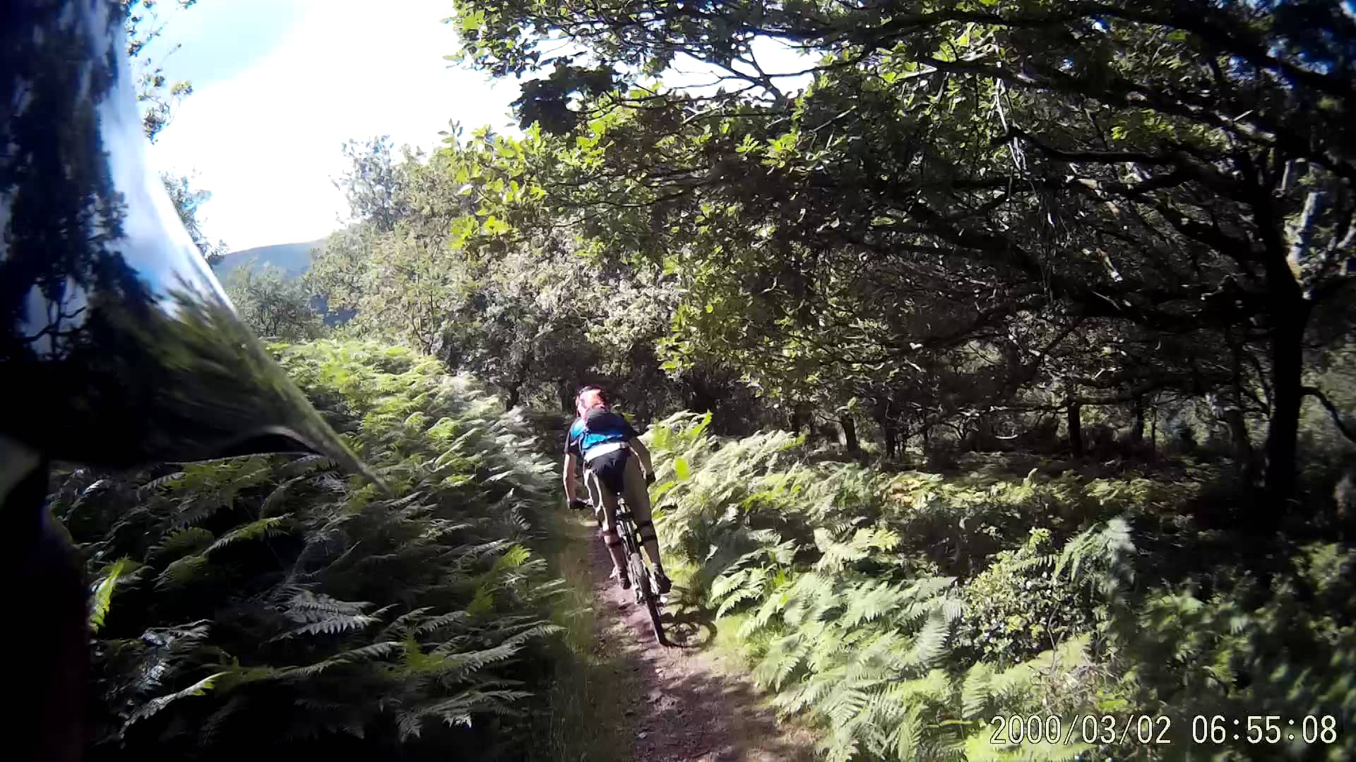 Horner Woods. raw footage using chilli tech hd bullet cam on Vimeo