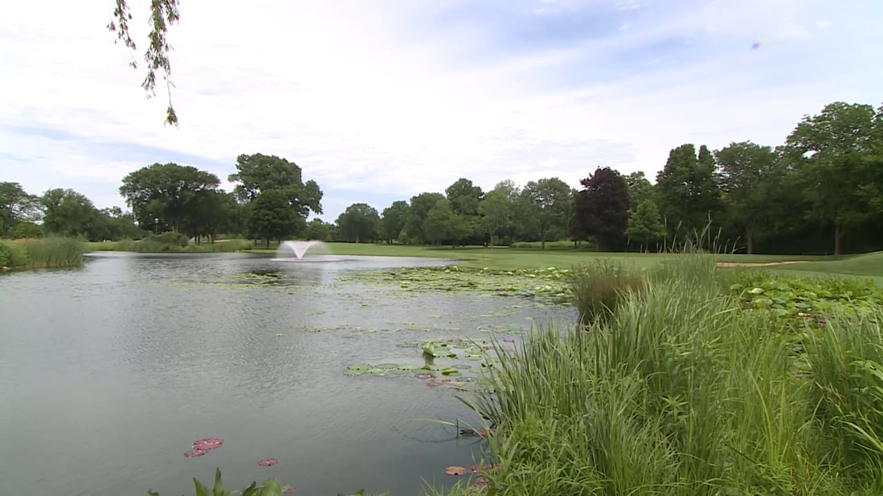 Sustainable Moments: Working With Buffer Strips in Ponds at North Shore ...