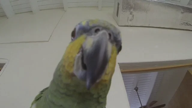 Mabel Video Jam on Vimeo