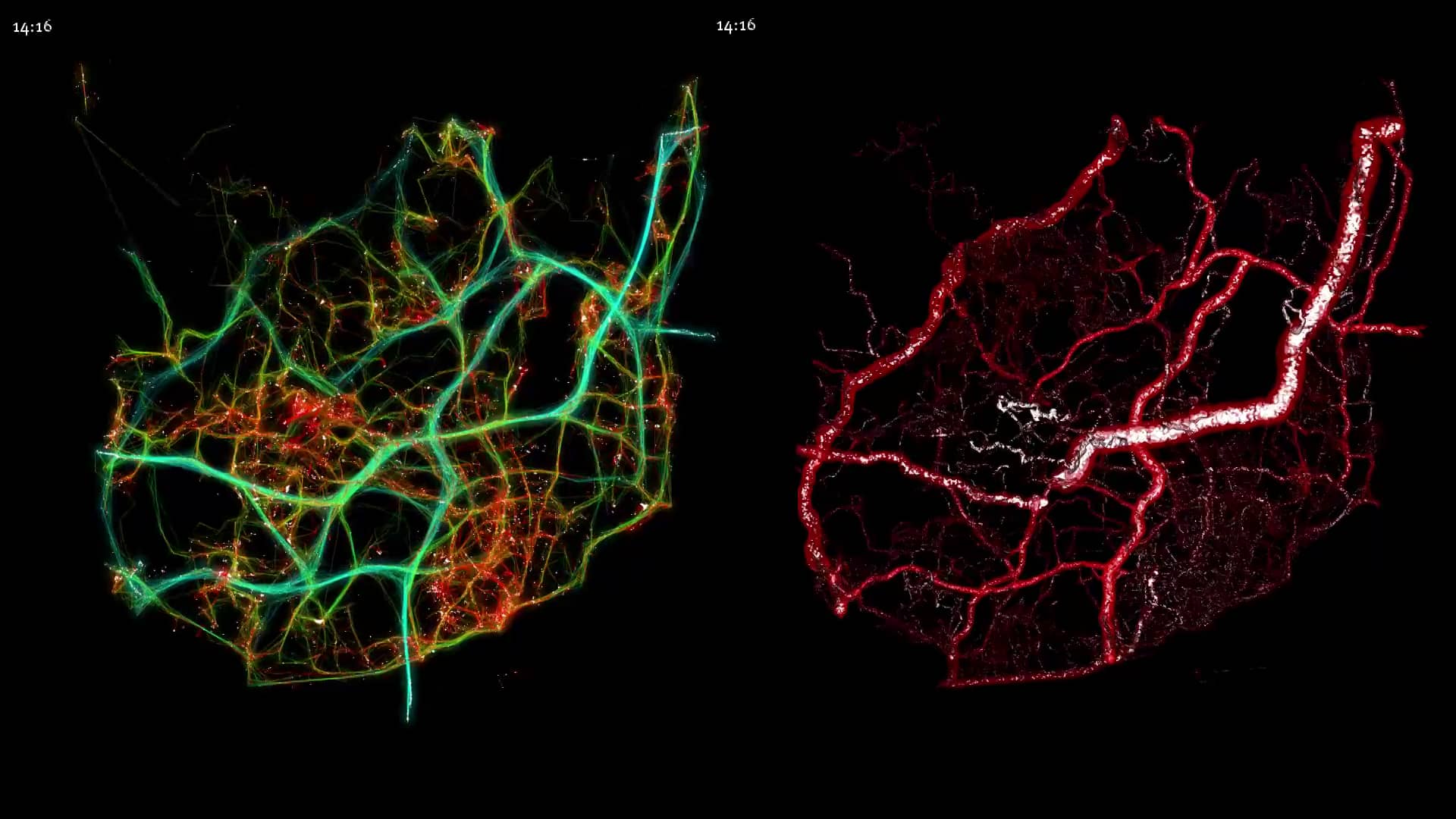 Contiguous animated edge-based cartograms for traffic visualization on ...