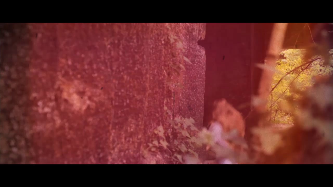 Xavier Magot x JC SATAN, Dragons †† on Vimeo