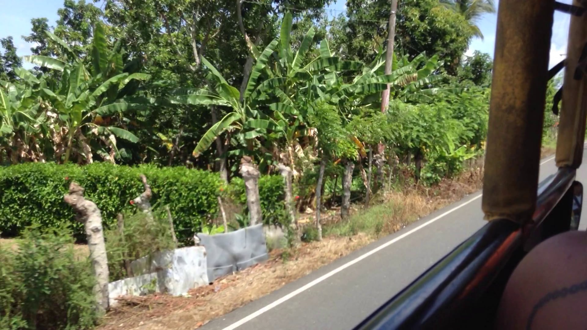 The Road to Macao Beach, Dominican Republic on Vimeo