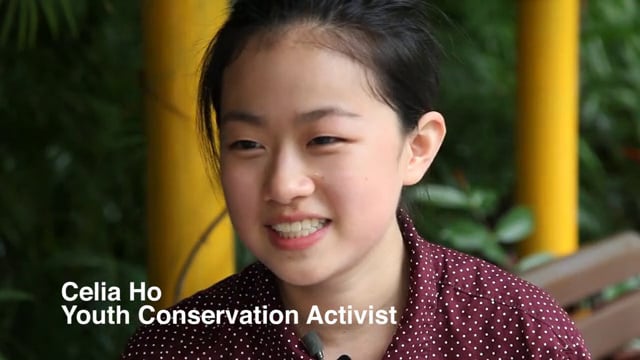 Celia Ho's Campaign to Save Elephants on Vimeo