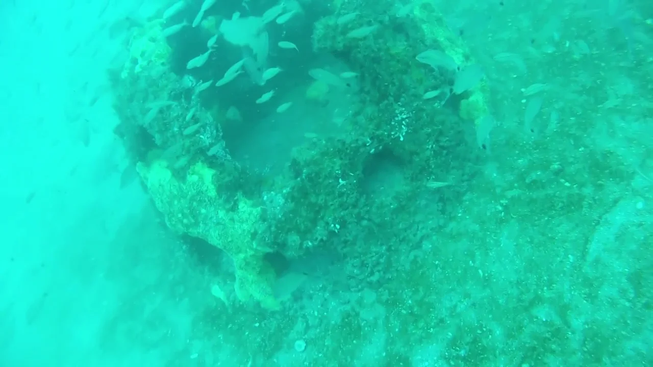 Bigger Red Snapper on Vimeo