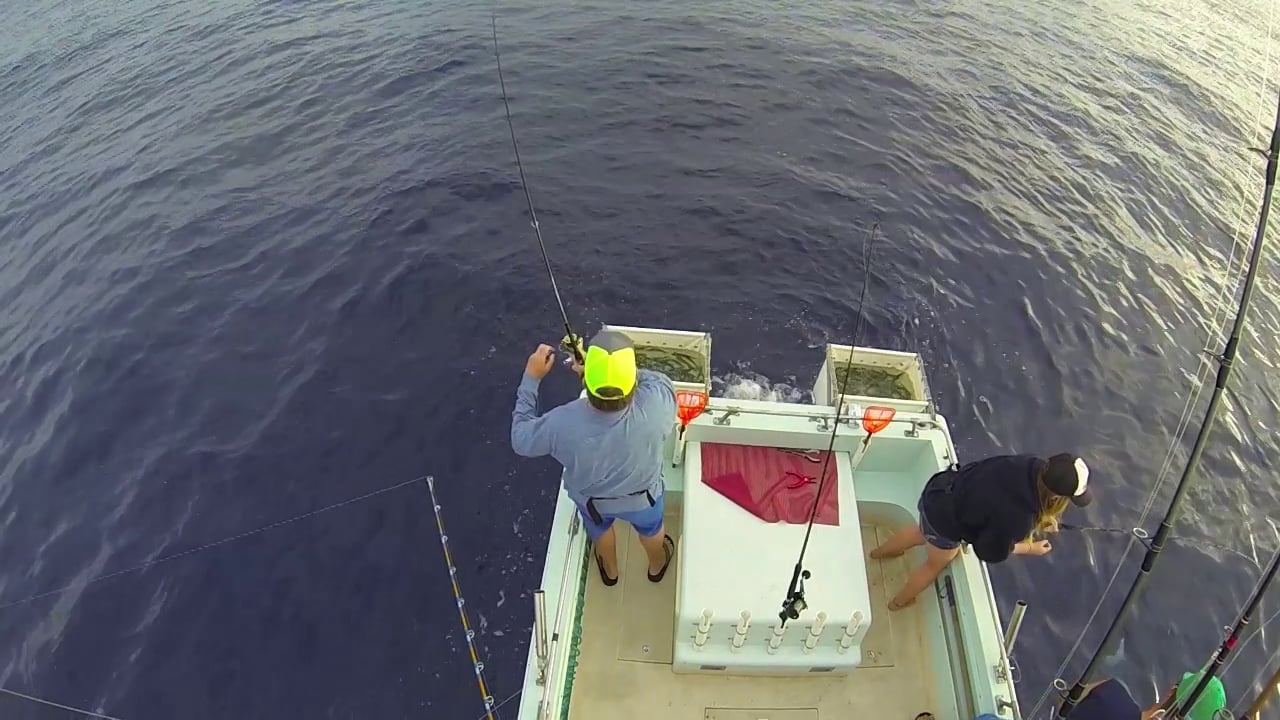 Fishing '14 on Vimeo