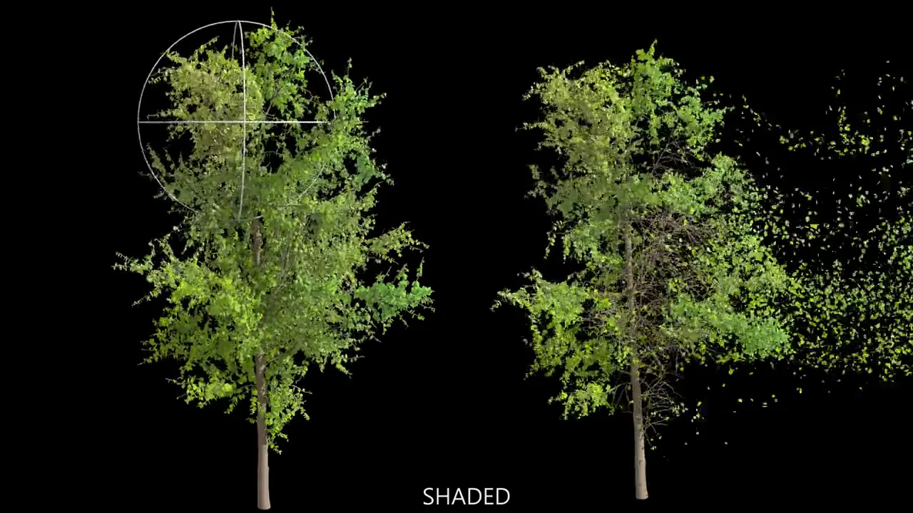 Softimage Trees simulation
