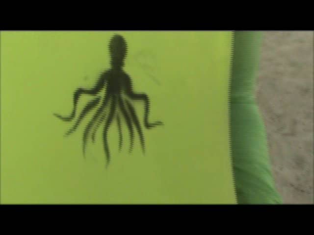 Bone Eating Snot Flower on Vimeo