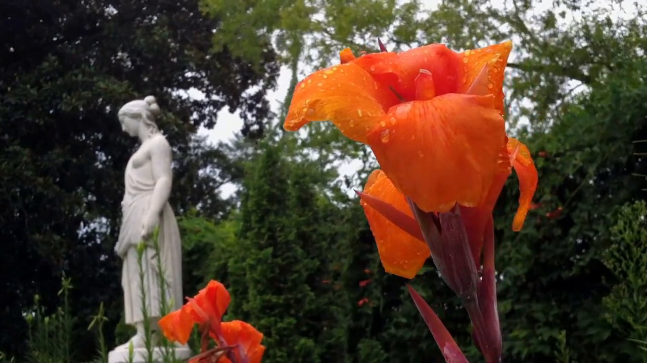 Tryon Palace: Weekend Challenge: 5x5 - Your Great Outdoors on Vimeo