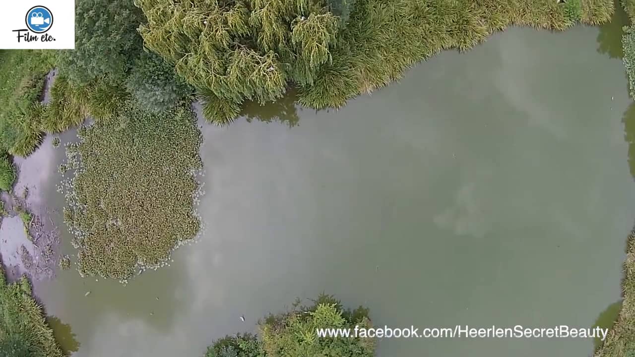 De plek waar de Geleenbeek ontspringt en het Imstenraderbos voor ...
