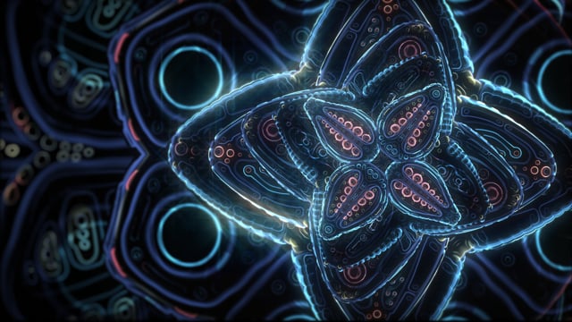 Cosmic Flower Unfolding - Neatorama Cosmic Flower Unfolding - Neatorama