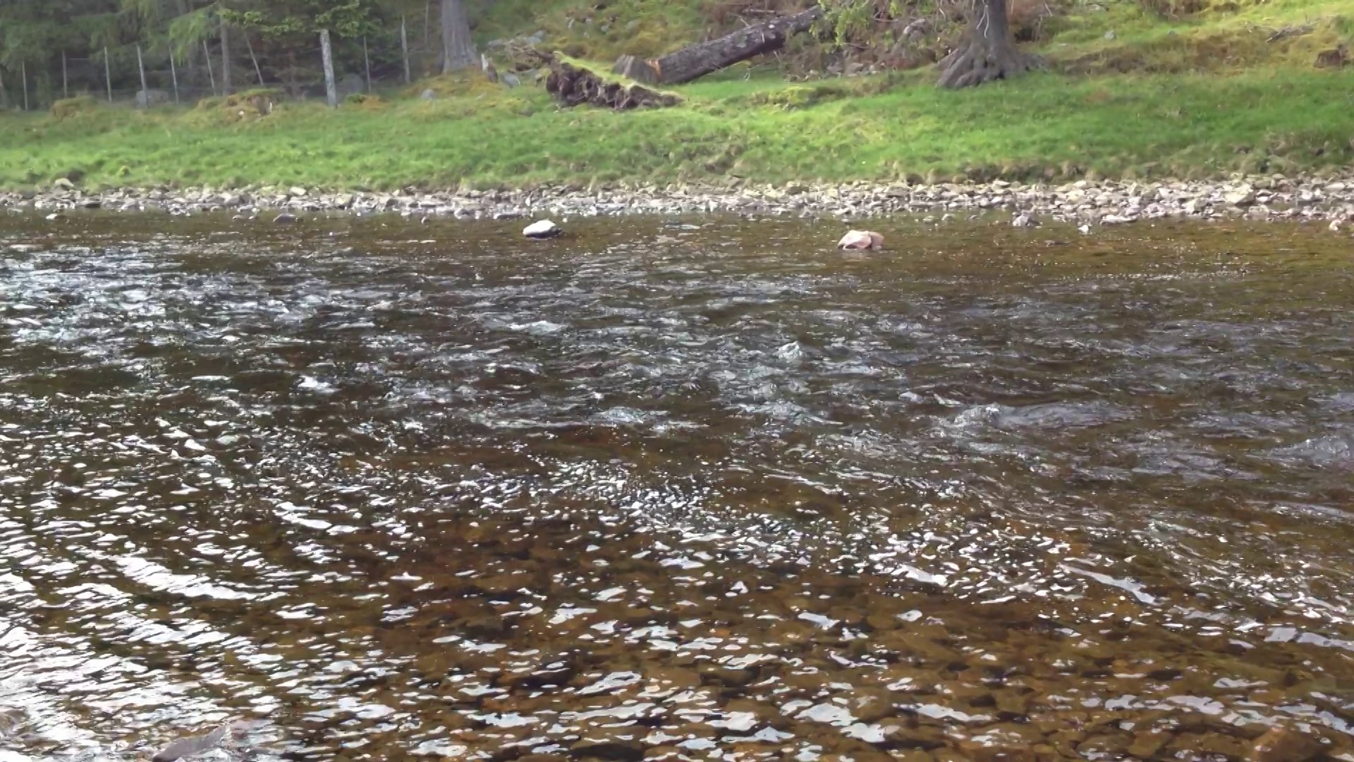 Mar Lodge Estate / Victoria Bridge Pool on Vimeo
