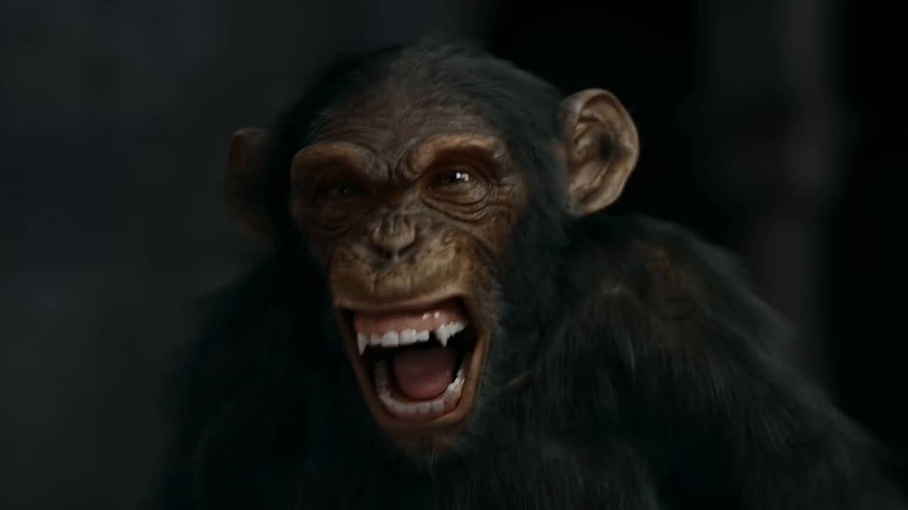 Angry Ape - Full CGI 3D Chimpanzee on Vimeo