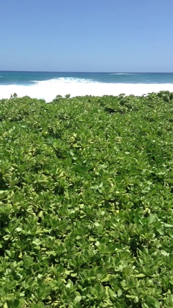 Erma's day after Julio passed by on Vimeo