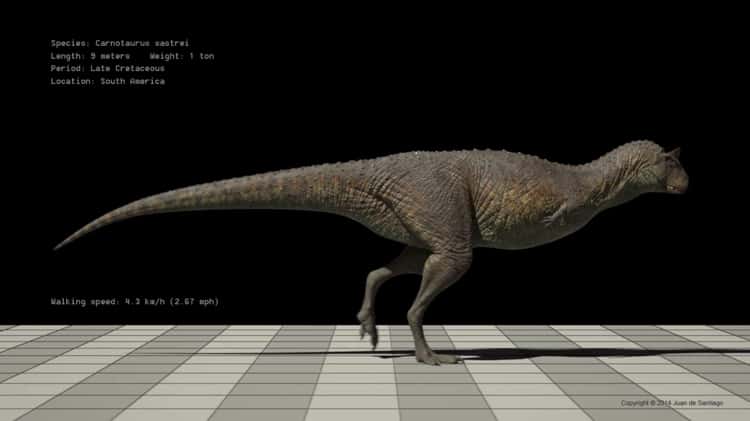 Carnotaurus Size Comparison