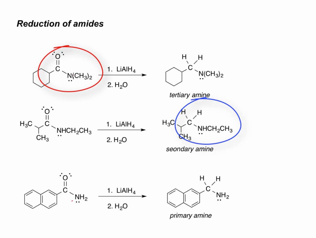19.6 Amide reduction with LiAlH4 on Vimeo