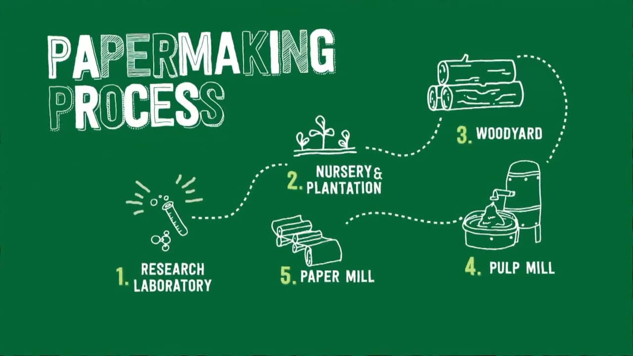 How Paper is Made - in the World's Biggest Paper Plant on Vimeo