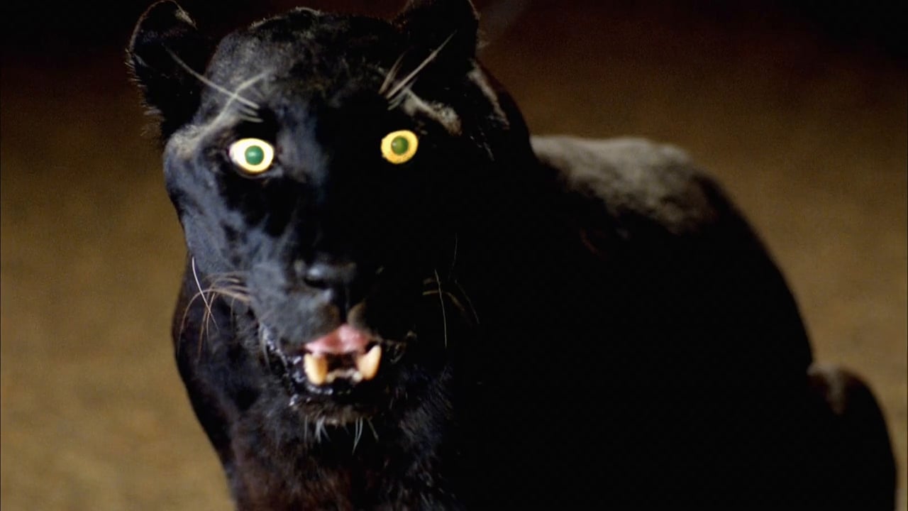 HBO - True Blood: "Werepanthers" on Vimeo