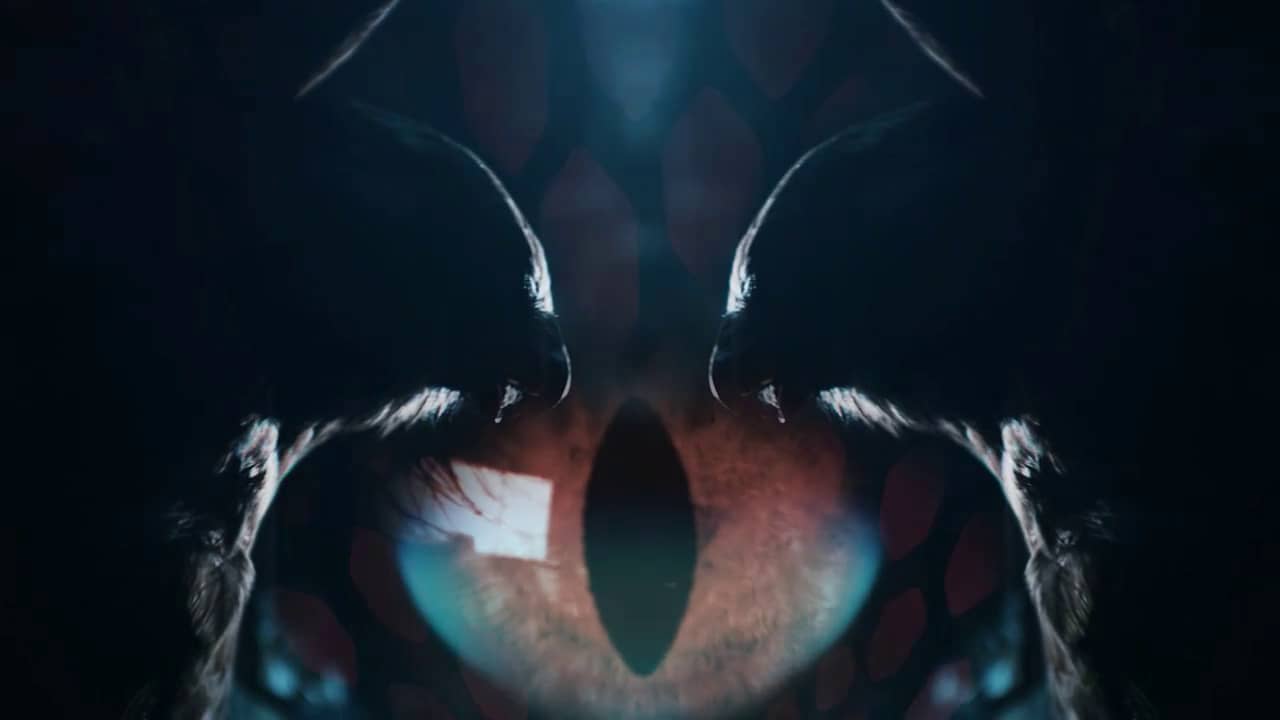 Adidas Predator Evolution Directors Cut on Vimeo